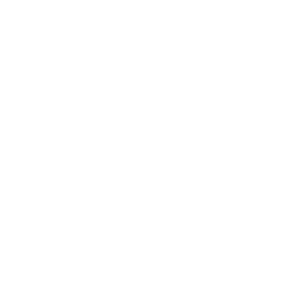 Project Rebound | Associated Students SFSU